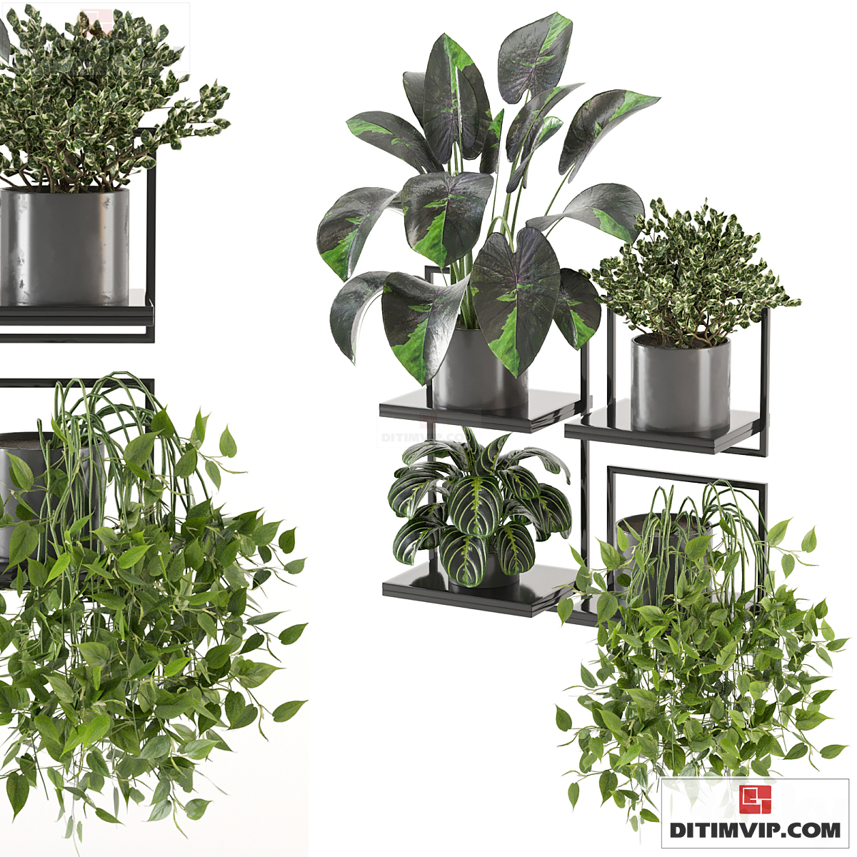 [Free] Plants Indoor-4082452.6240335e790f4-3dsmax - THƯ VIỆN ĐỒ HỌA