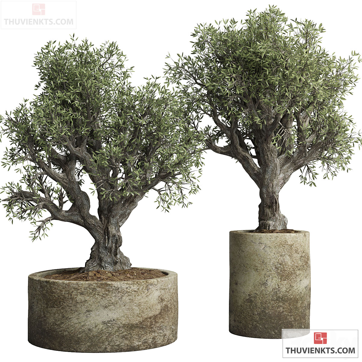 [VIP] Plants Outdoor-3485088.60c8c0d147c1d-3dsmax - THƯ VIỆN ĐỒ HỌA