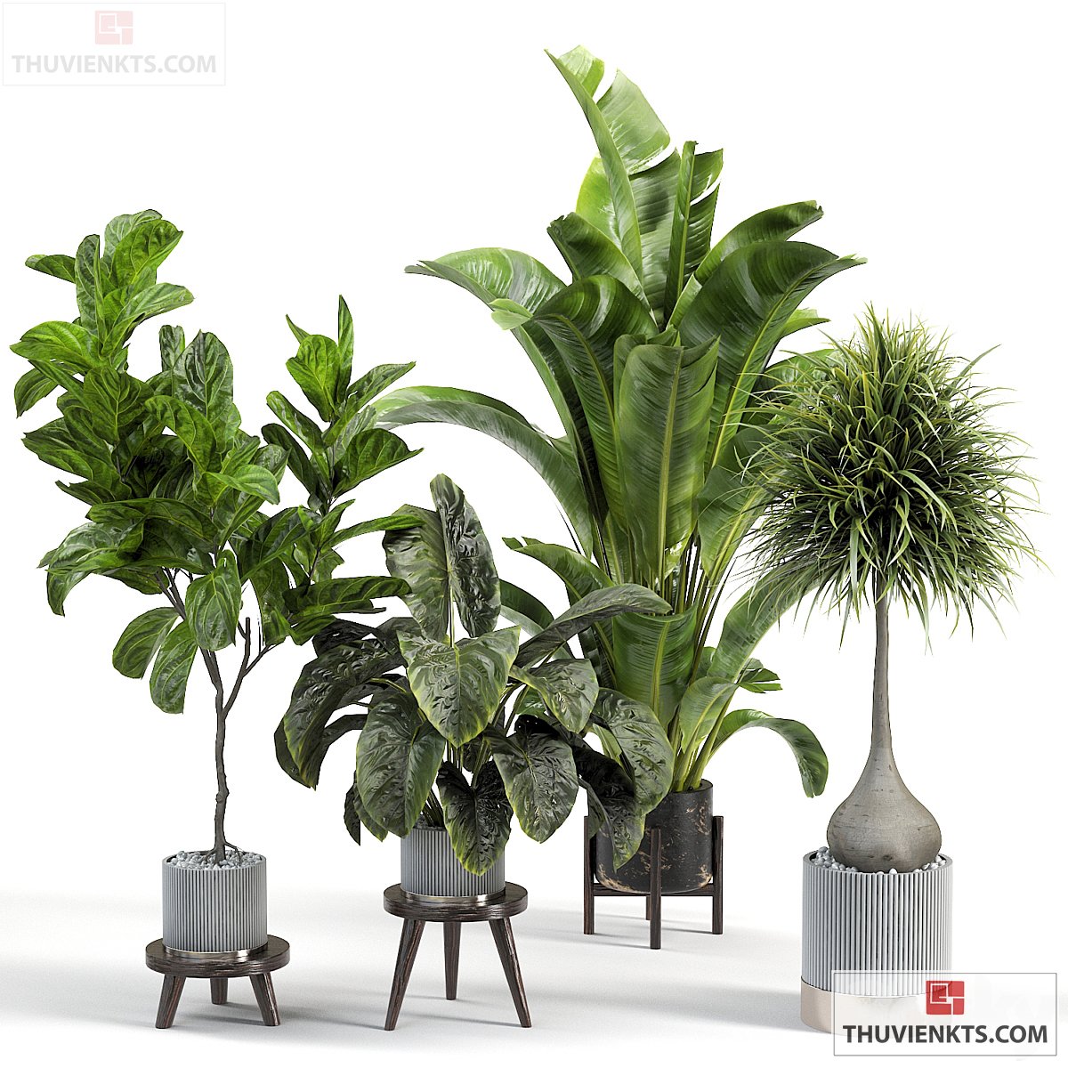[Free] Plants Indoor-5144354.6436aafd228f2-3dsmax - THƯ VIỆN ĐỒ HỌA