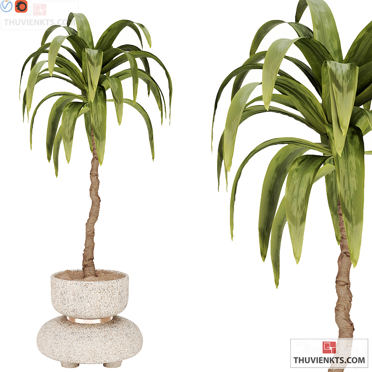 [VIP] Plants Indoor-5634912.64f8946d7d1ce-3dsmax - THƯ VIỆN ĐỒ HỌA