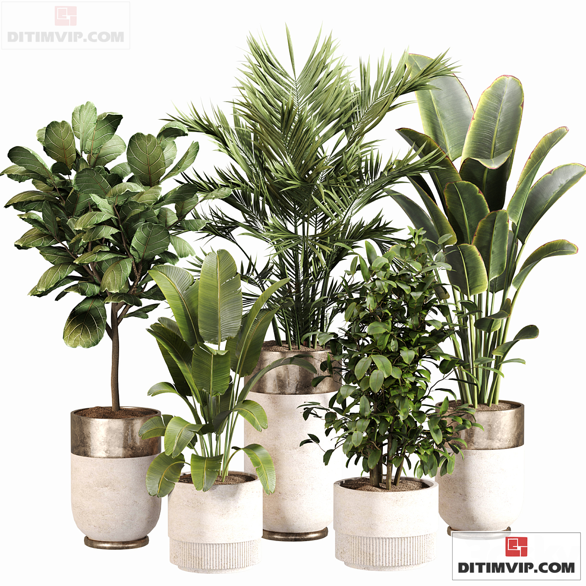[VIP] Plants Indoor-6133992.65b5f1aa87d1b-3dsmax - THƯ VIỆN ĐỒ HỌA